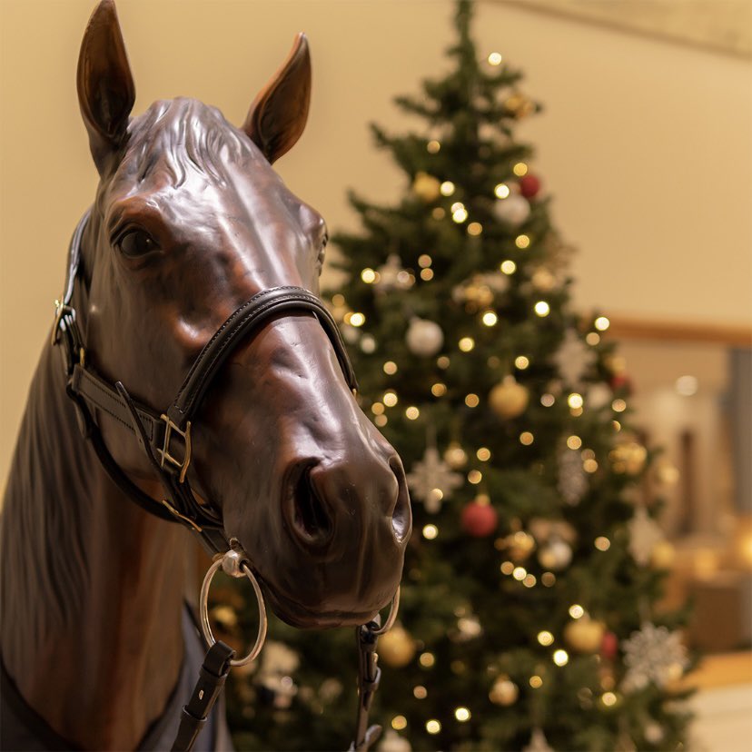 somèssaddle ソメスサドル株式会社 on Twitter: "そして今日は浦和競馬場ダート2000m、Jpn2 #浦和記念 ️ オルフェーヴル産駒の栗毛 #ラーゴム くんをちょっぴり ...