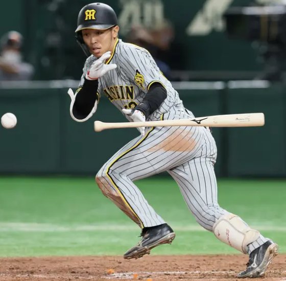 【契約更改】阪神・島田が倍増以上の3000万円で更改 来季は「出塁率3割5分以上」で外野定着へ : とらほー速報