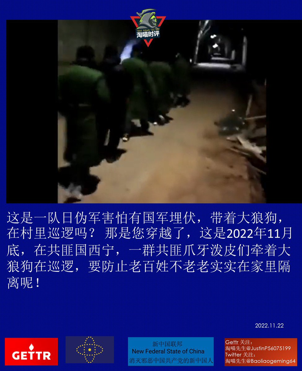 淘喵先生 On Twitter 在共匪国西宁,一群共匪爪牙泼皮们牵着大狼狗在巡逻,要防止老百姓不老老实实在家里隔离呢🥹