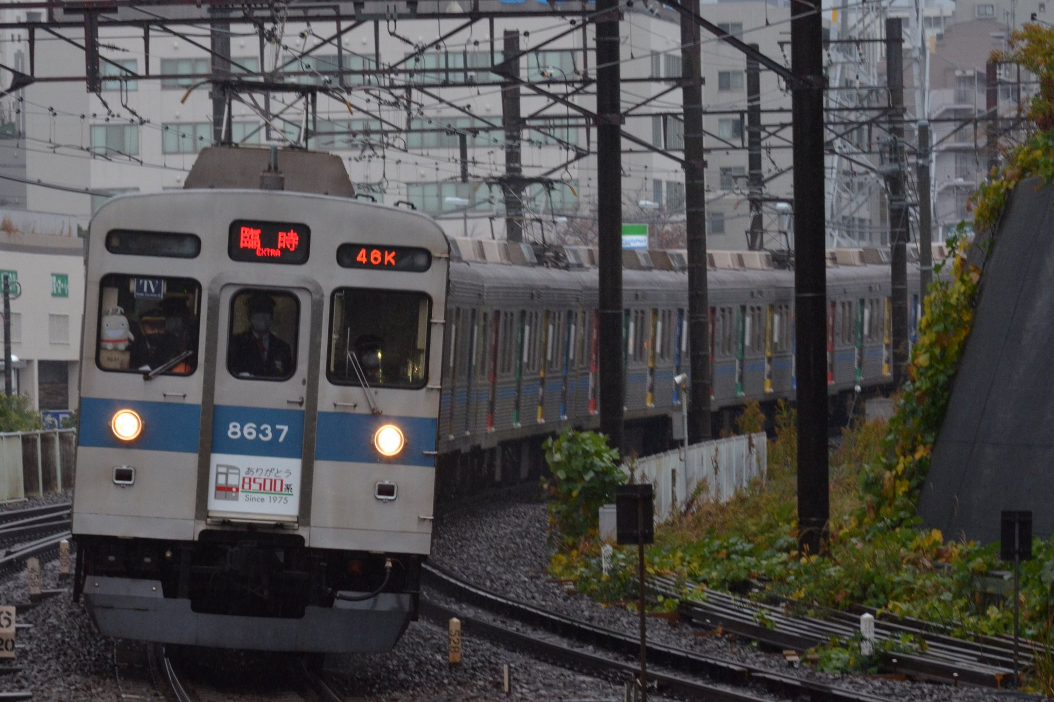 快速／Rapidtrain on Twitter: "2022年11月23日 8637F 46K 団体臨時 クラブツーリスト主催 前回の8631F時同様今回も同じ場所にて 悪天候、通過時には ...