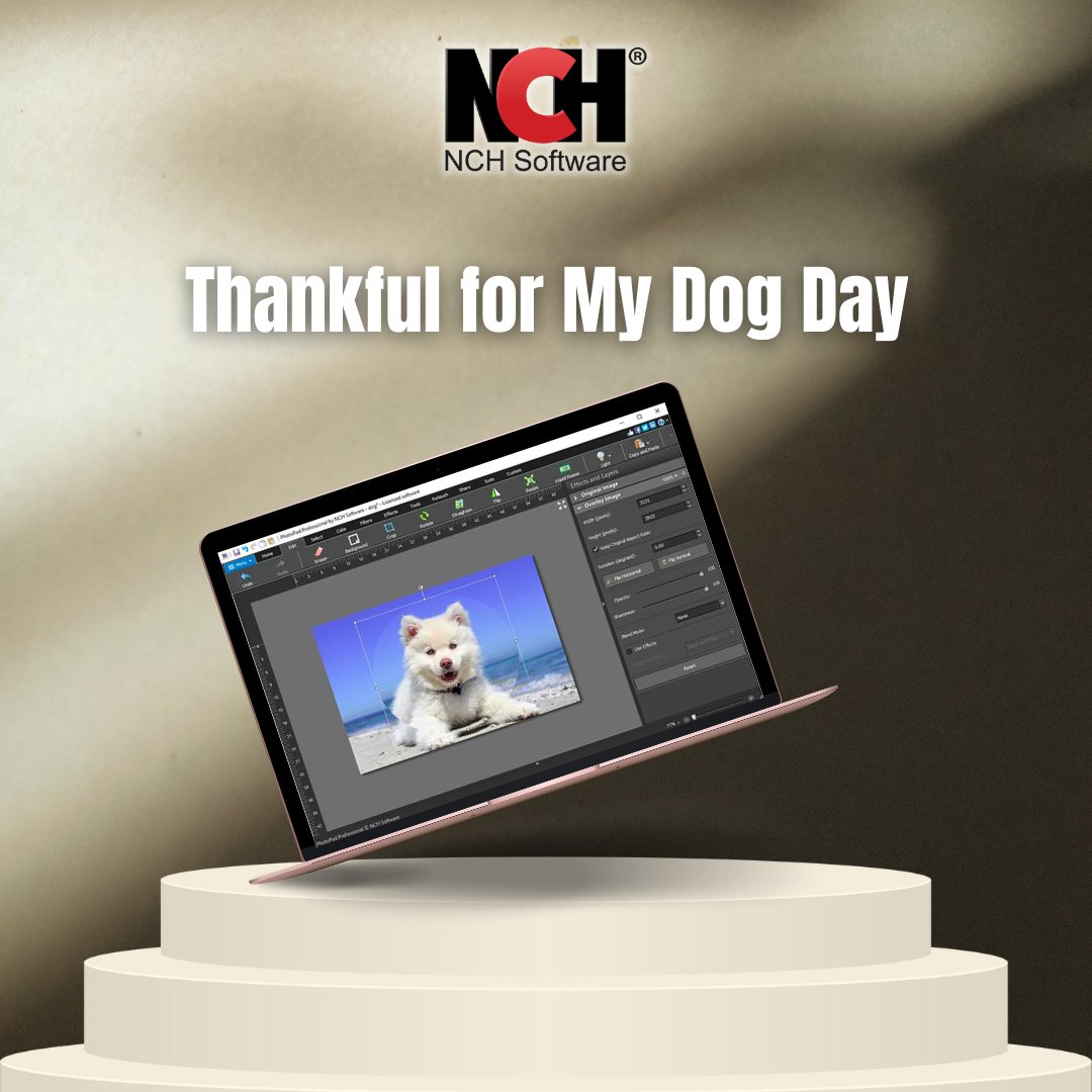 NCH Software on Twitter: "Happy #ThankfulForMyDogDay! Celebrate your love for your canine ...