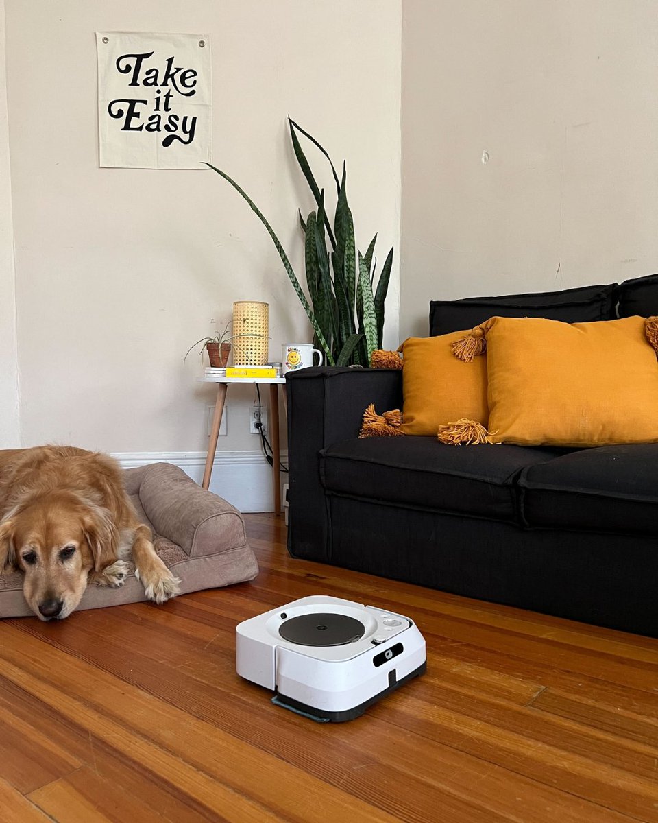 iRobotZA on Twitter: "You've made it halfway through the week, take it easy & let us do some ...