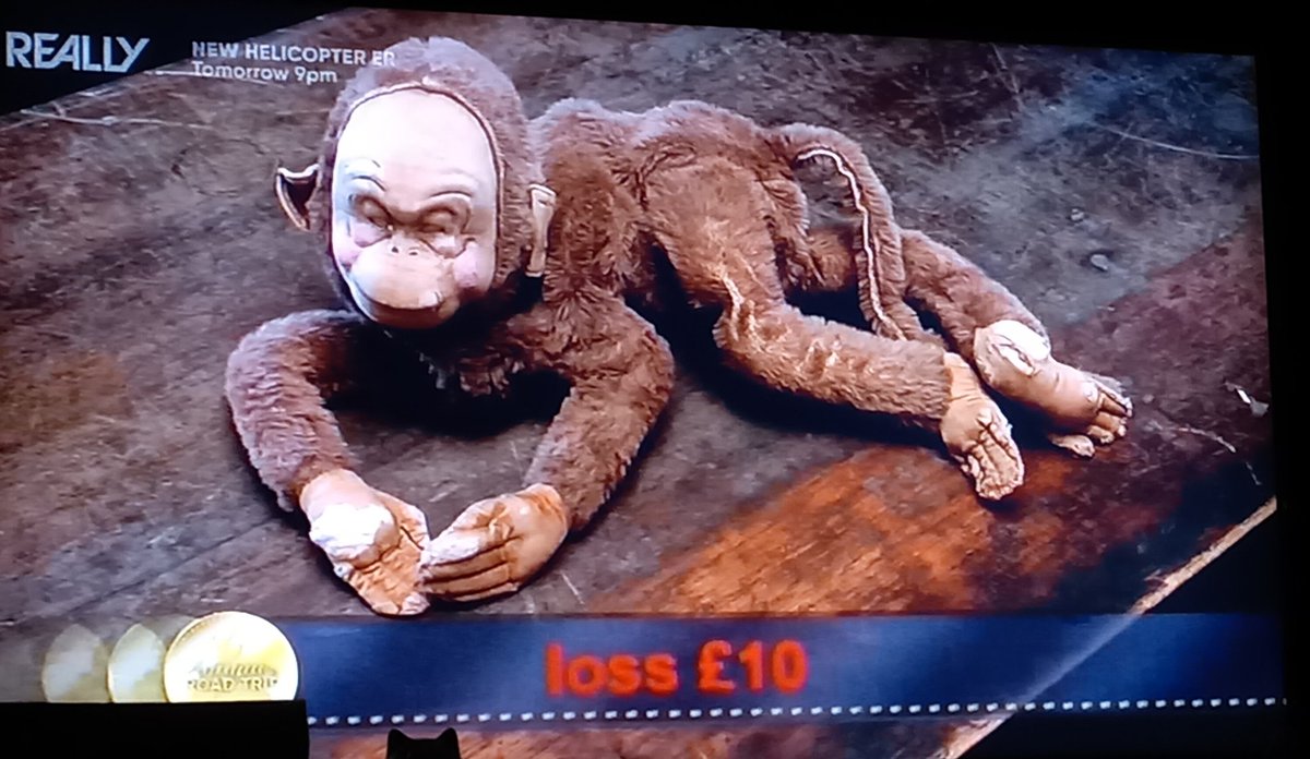 𝔸𝕠𝕚𝕗𝕖/𝔼𝕧𝕒 💚💙☮️🌼 on Twitter: "Poor ugly monkey on Antiques Road Trip 😢"