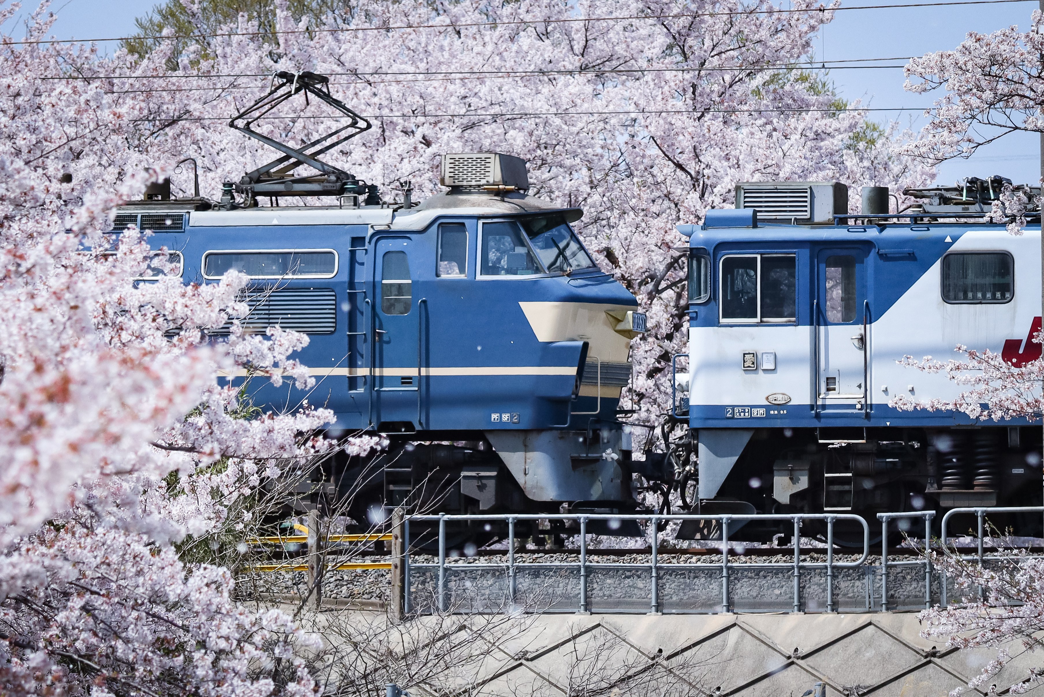 ちゅ～きょ～けん on Twitter: "EF64 1045 HM付 久しぶりの大ネタ どっちも記録出来て良かった https://t.co/rX59k7qTFC" / Twitter