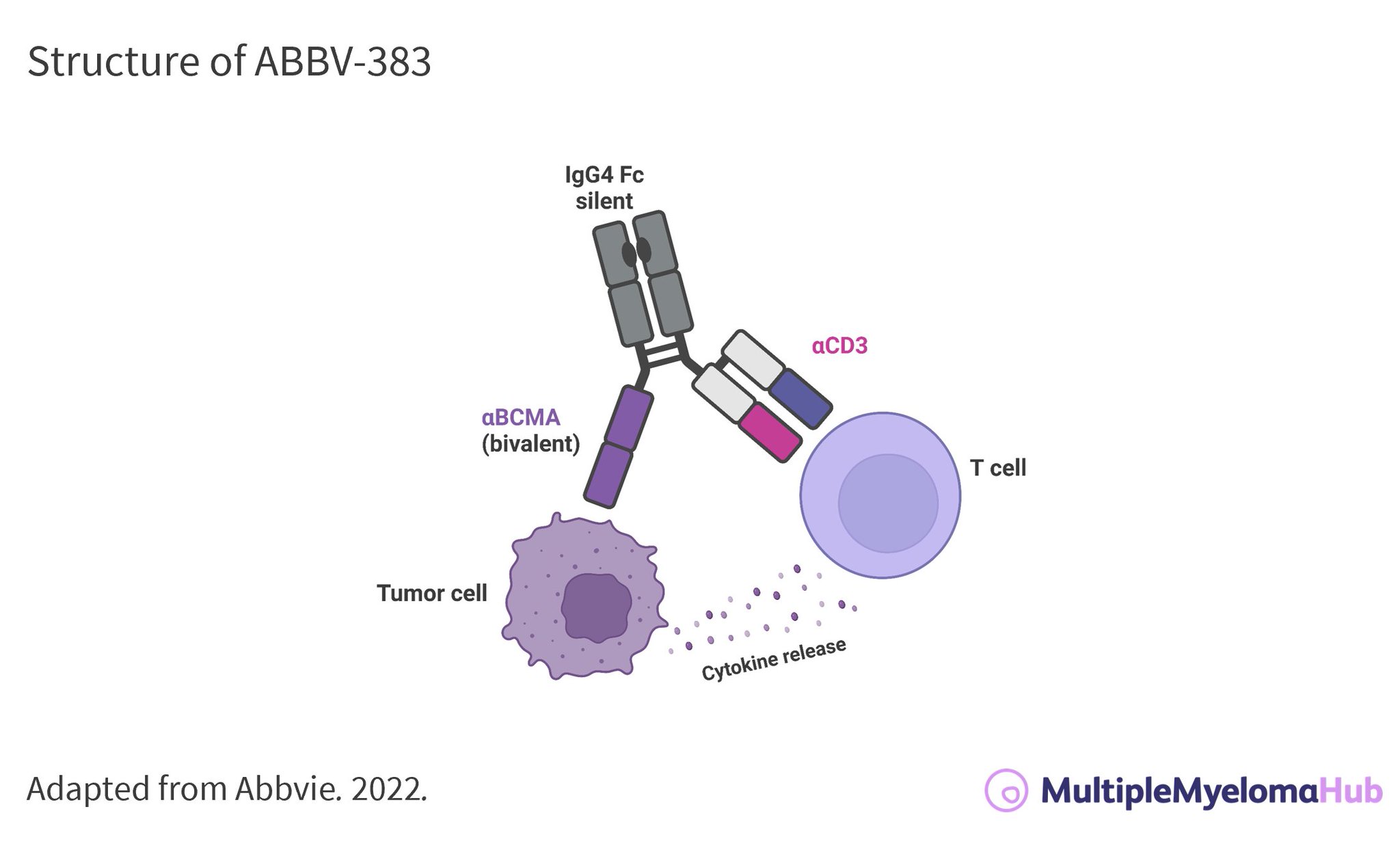 Multiple Myeloma Hub on Twitter: "#IMS2022 | Want to know more about the efficacy and safety of ...