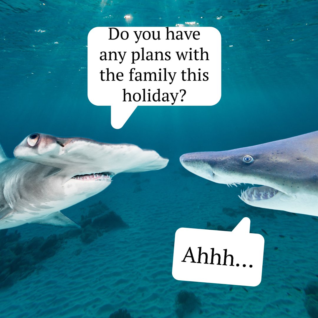 Tiger Shark Meme