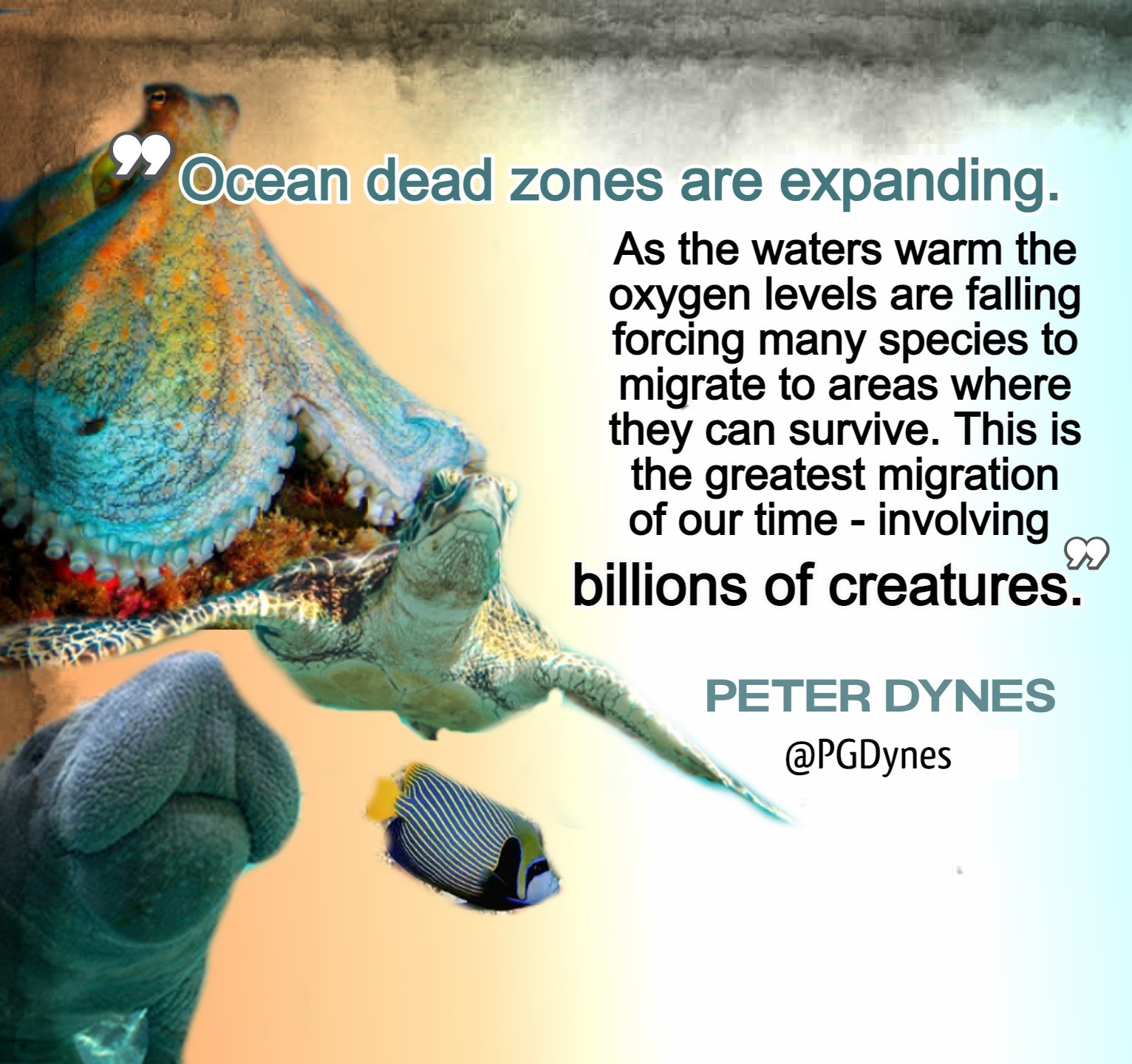 Sophie Gabrielle on Twitter: "Ocean dead zones are expanding @PGDynes ...