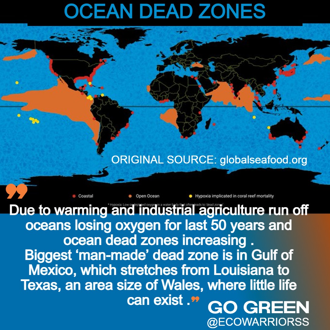 Sophie Gabrielle on Twitter: "Ocean dead zones are expanding @PGDynes ...