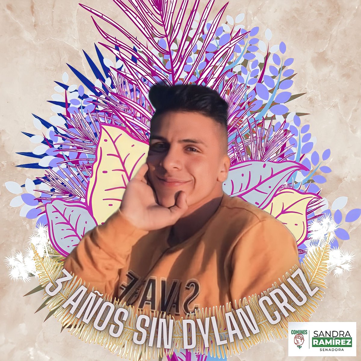 Sandra Ramírez on Twitter: "Hoy se cumplen 3 años del asesinato de Dylan Cruz por parte de un ...