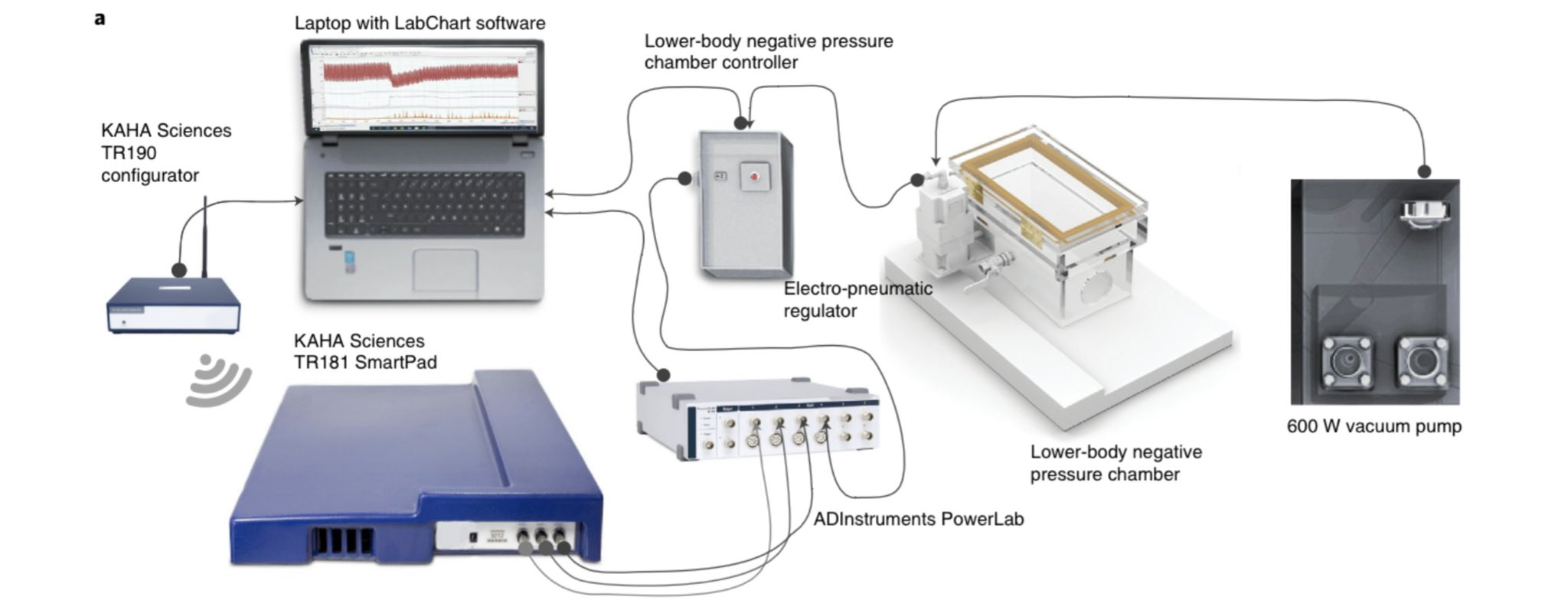 RESTORE Network for Spinal Cord Injury on Twitter: "Publication alert! @DrAaronPhillips group ...