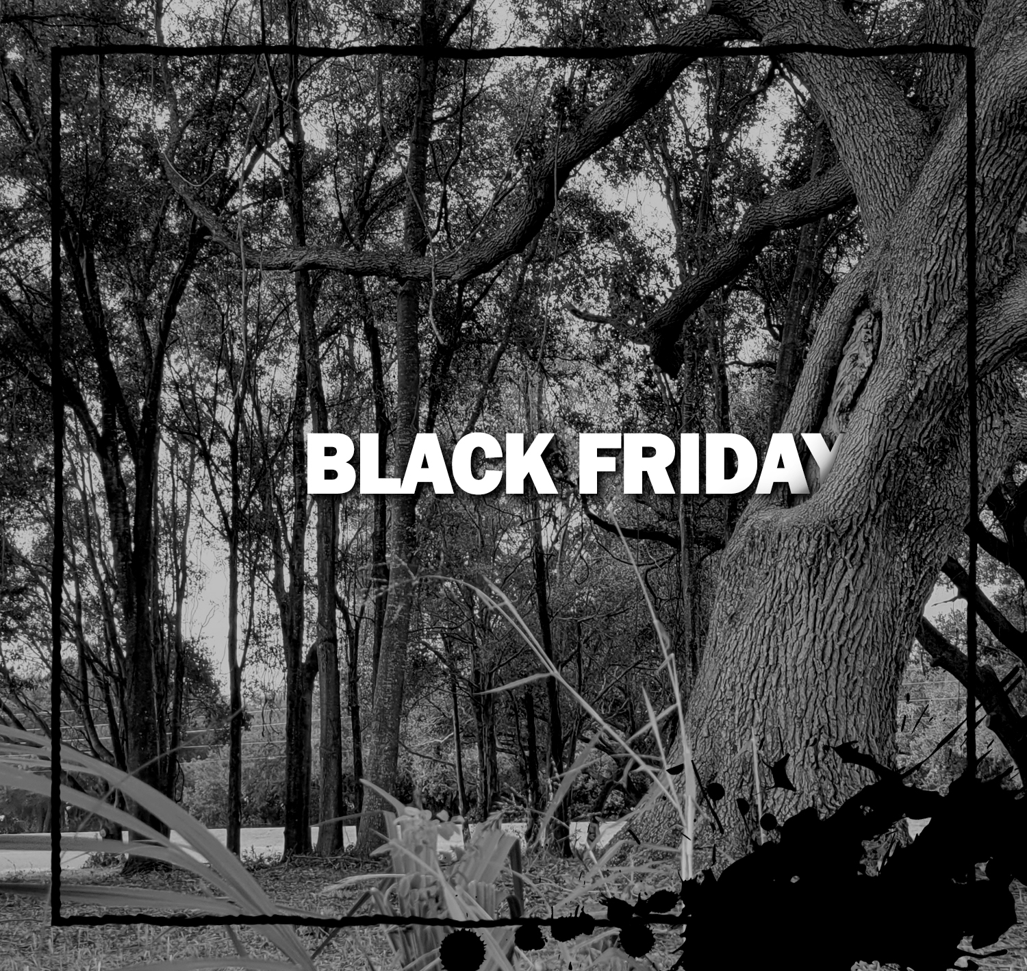 DPCI Wholesale on Twitter: "It's here😯 15% off - https://t.co/axEto20PPL https://t.co/MB4vplv8Rc ...