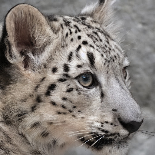 Thread by @StabilityAI on Thread Reader App – Thread Reader App