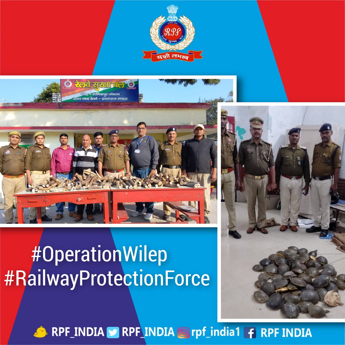 RPF INDIA on Twitter: "Cracking down against wildlife trade, #RPF & #GRP retrieved 77.5 kg deer ...