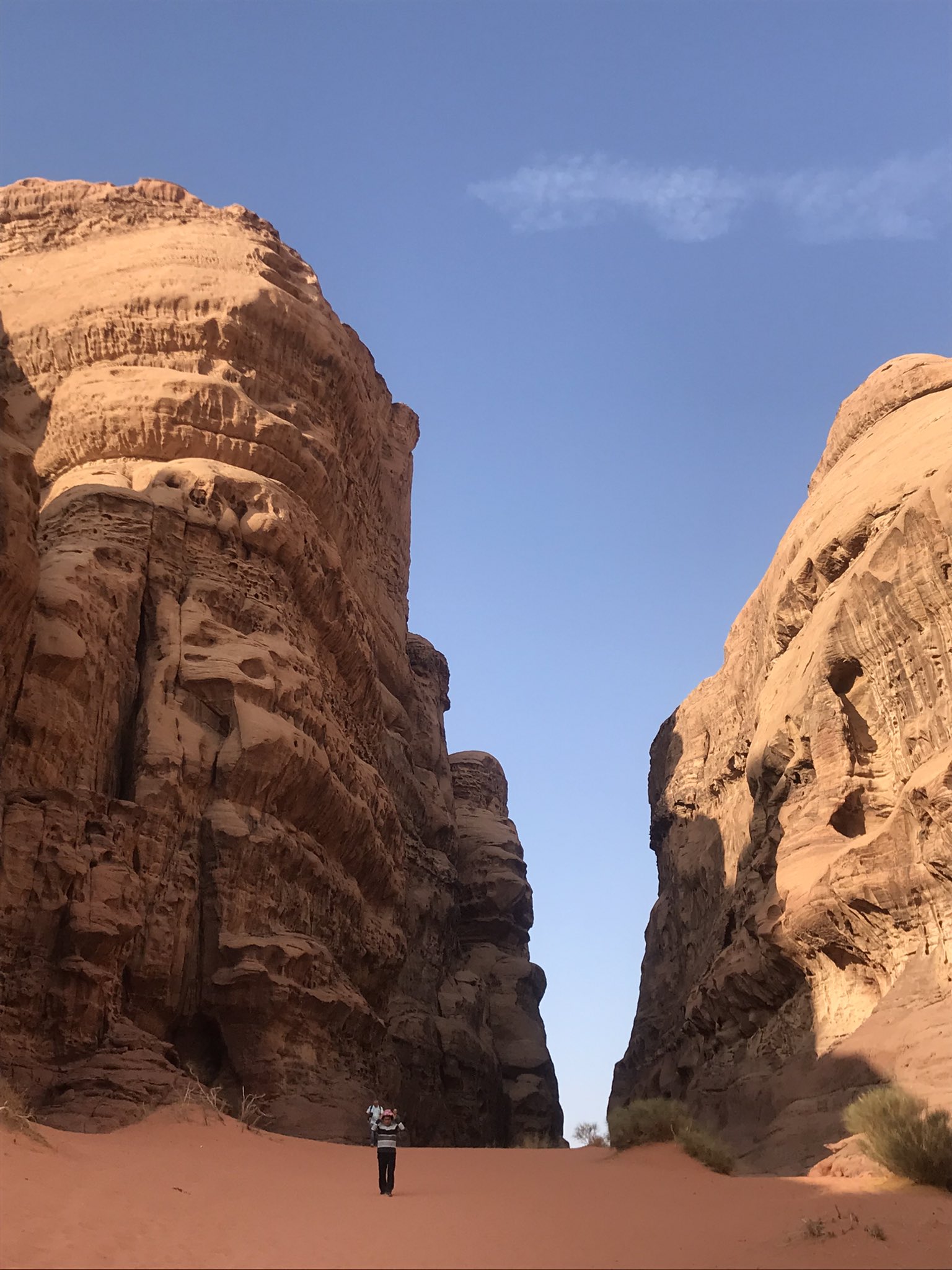 Dr Ram on Twitter: "https://t.co/oo94UHj6kq" / Twitter