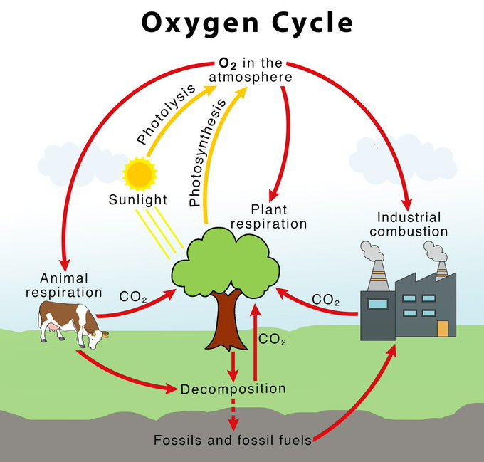 Easiest topic of environment yet many marked it wrongly in USPC CSE ...