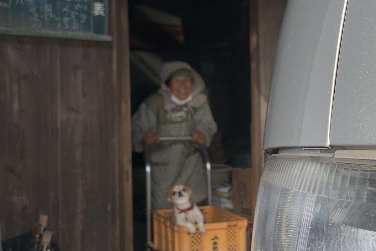 かなたぬき🌿 on Twitter: "RT @chiwarwar: