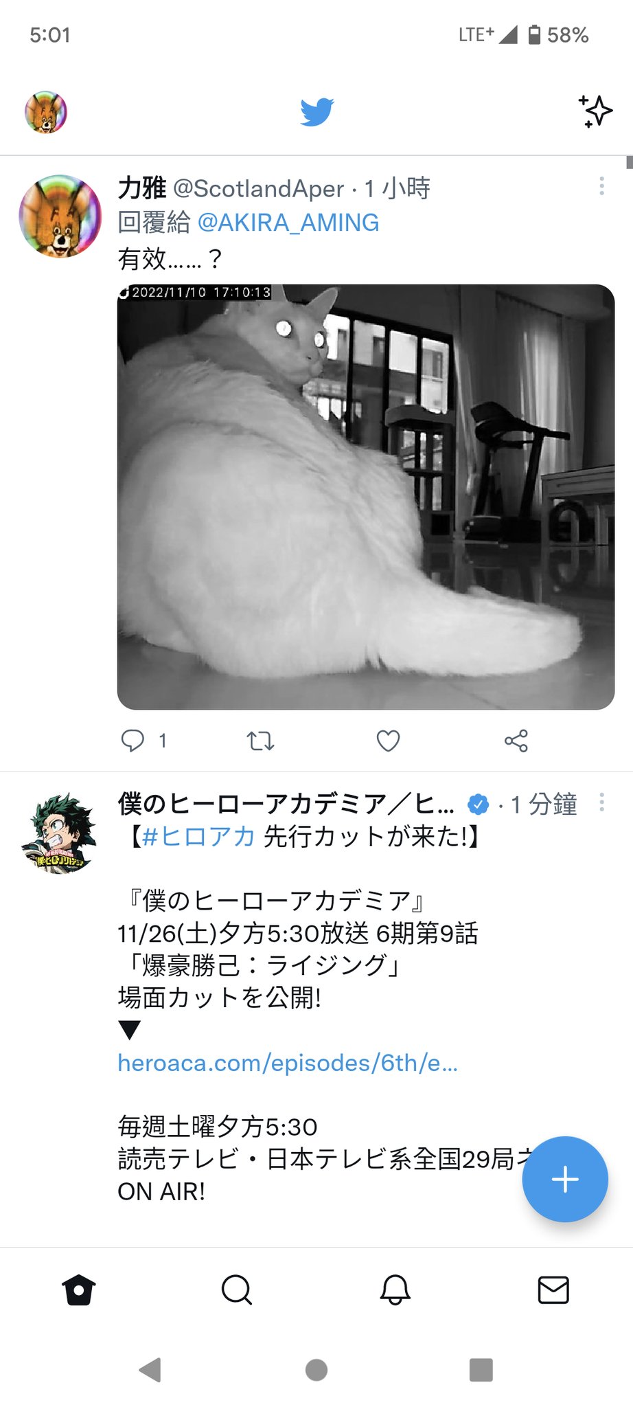 力雅 On Twitter 被迫置頂小胖屁股 Dcjcwsl2ye Twitter