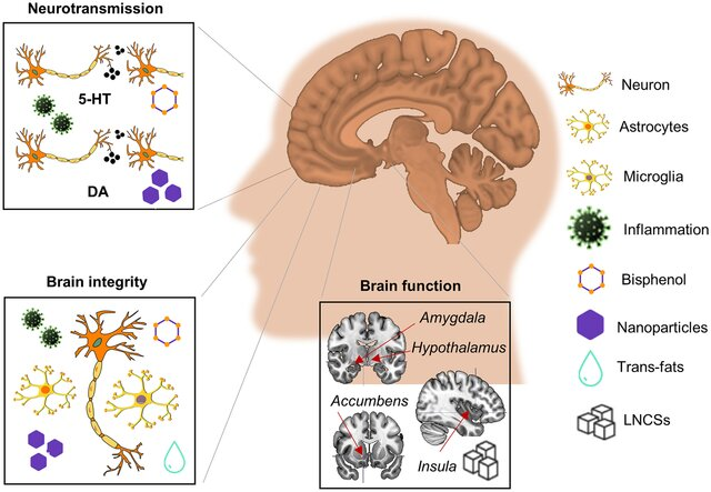 ¿Qué son los ultraprocesados? by @DrMijailTapia – Unroll Thread – We ...