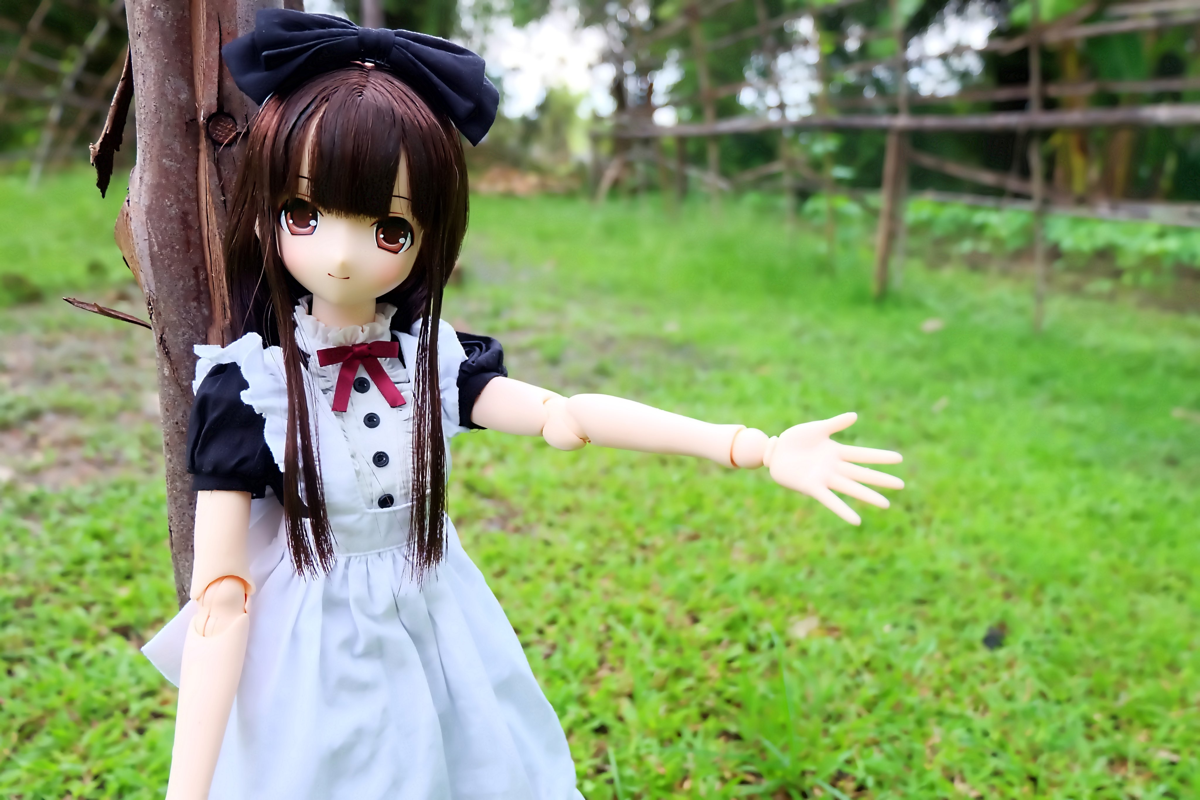 Mont Panichjeerasin on Twitter: "คุณไลลาชอบแปลงผัก มีใครอยากกินถั่วสดๆ บ้างไหม #Azone https://t ...