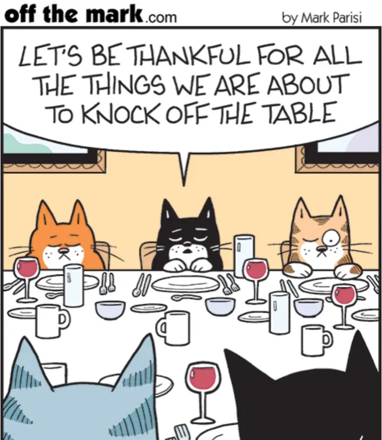 Cat Food Breath on Twitter: "Meow"