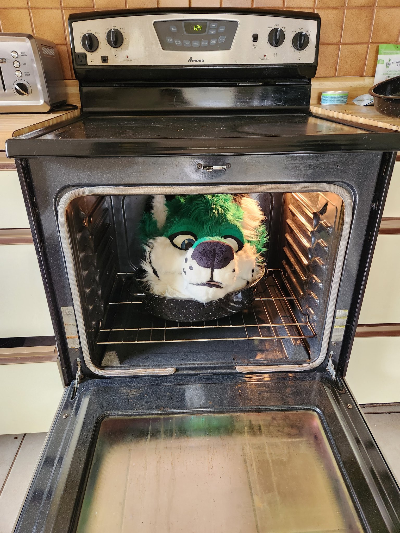 Jik the Solar Wolf on Twitter: "It's getting hot in here 🔥 https://t.co/jp8SMXRFKU" / Twitter