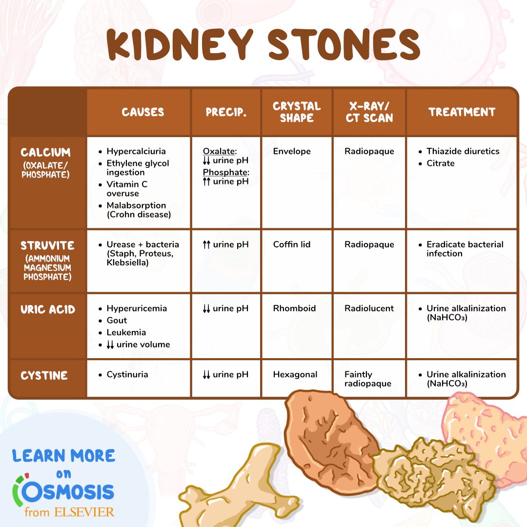Types Of Kidney Stones Pictures Of Different Types Of Kidney Stones