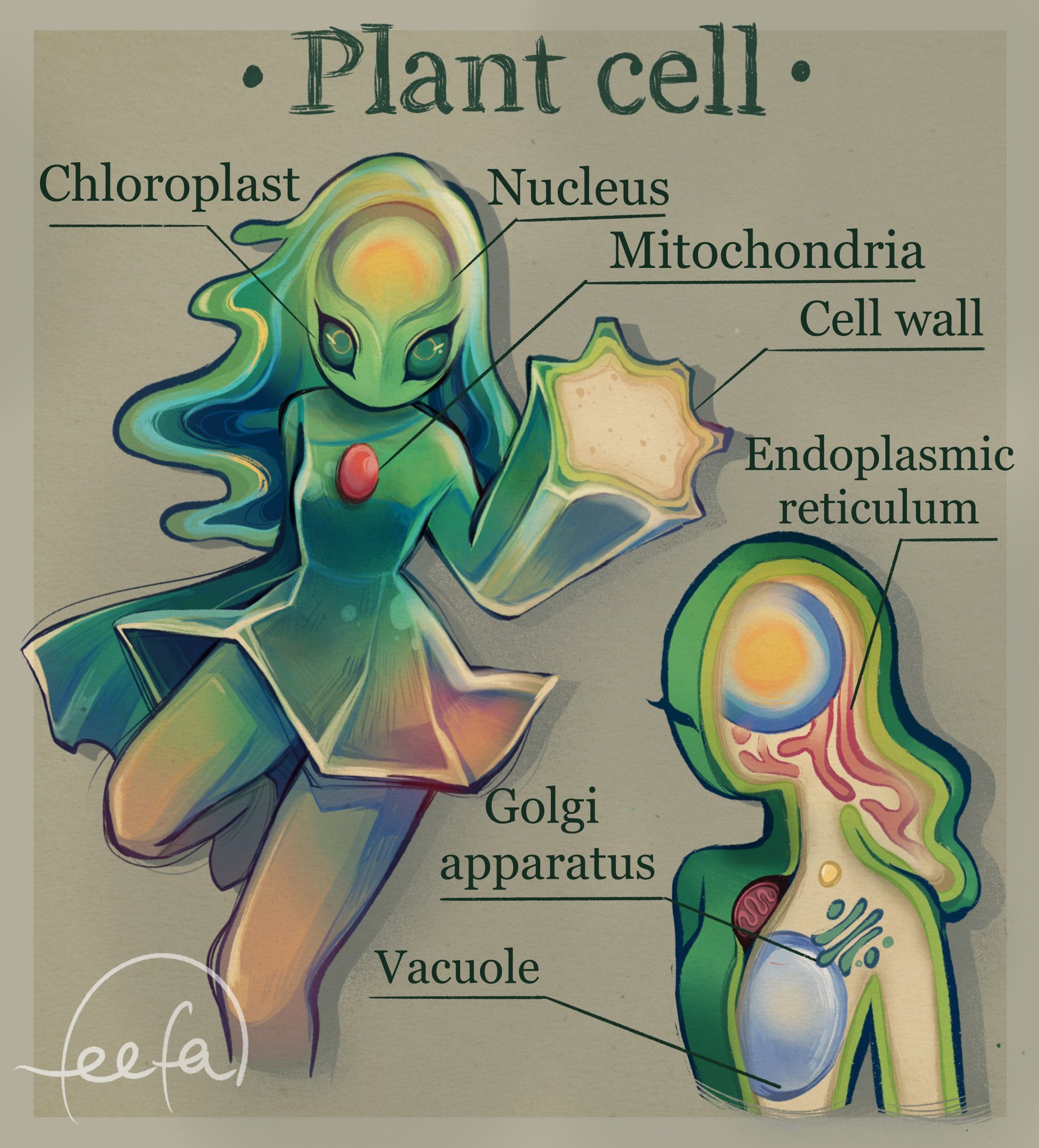 feef on Twitter: "Plant cell diagram (cute girl version)🌱 https://t.co ...