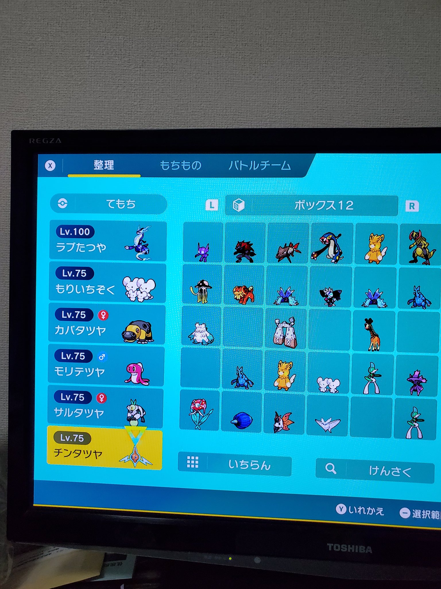 TATSUYA on Twitter: "ヒールボール統一チームタツヤ https://t.co/u1VL3gVnTA" / Twitter