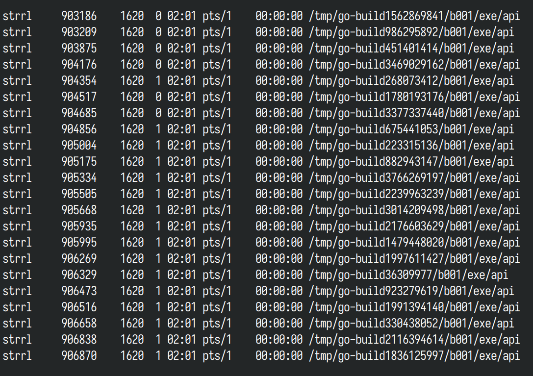 STRRL on Twitter: "发现一个很好玩的现象... go 1.19.2, 执行 go run , 然后执行 pkill go, 把 go run 杀掉 真正编译出来的 ...