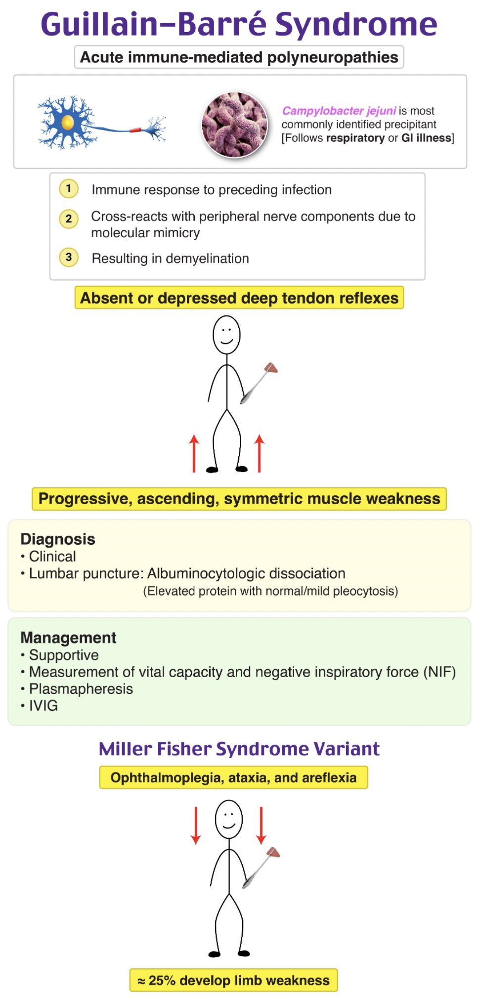 Guillain-Barré Syndrome Medcomic, 41% OFF