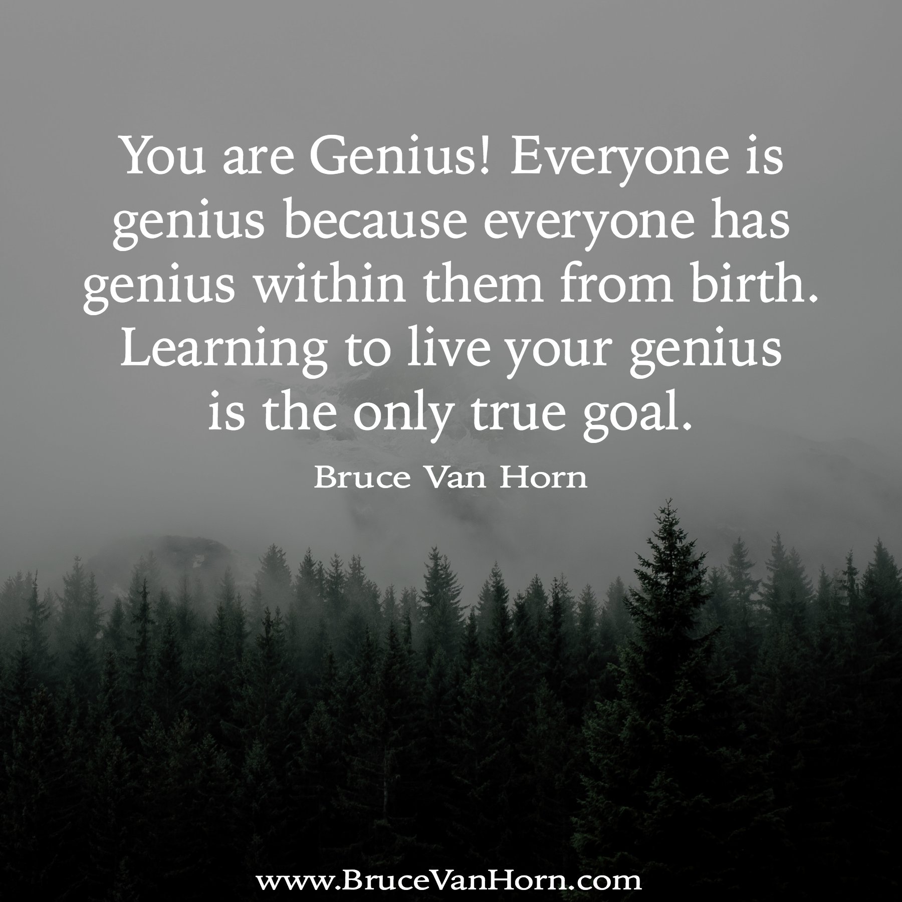 You Are A Genius Quotes