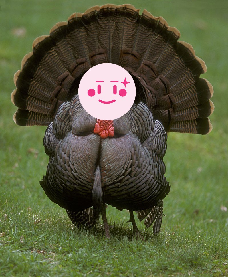 PinkSale (Pink Ecosystem) on Twitter: "👌From all of us here at # ...