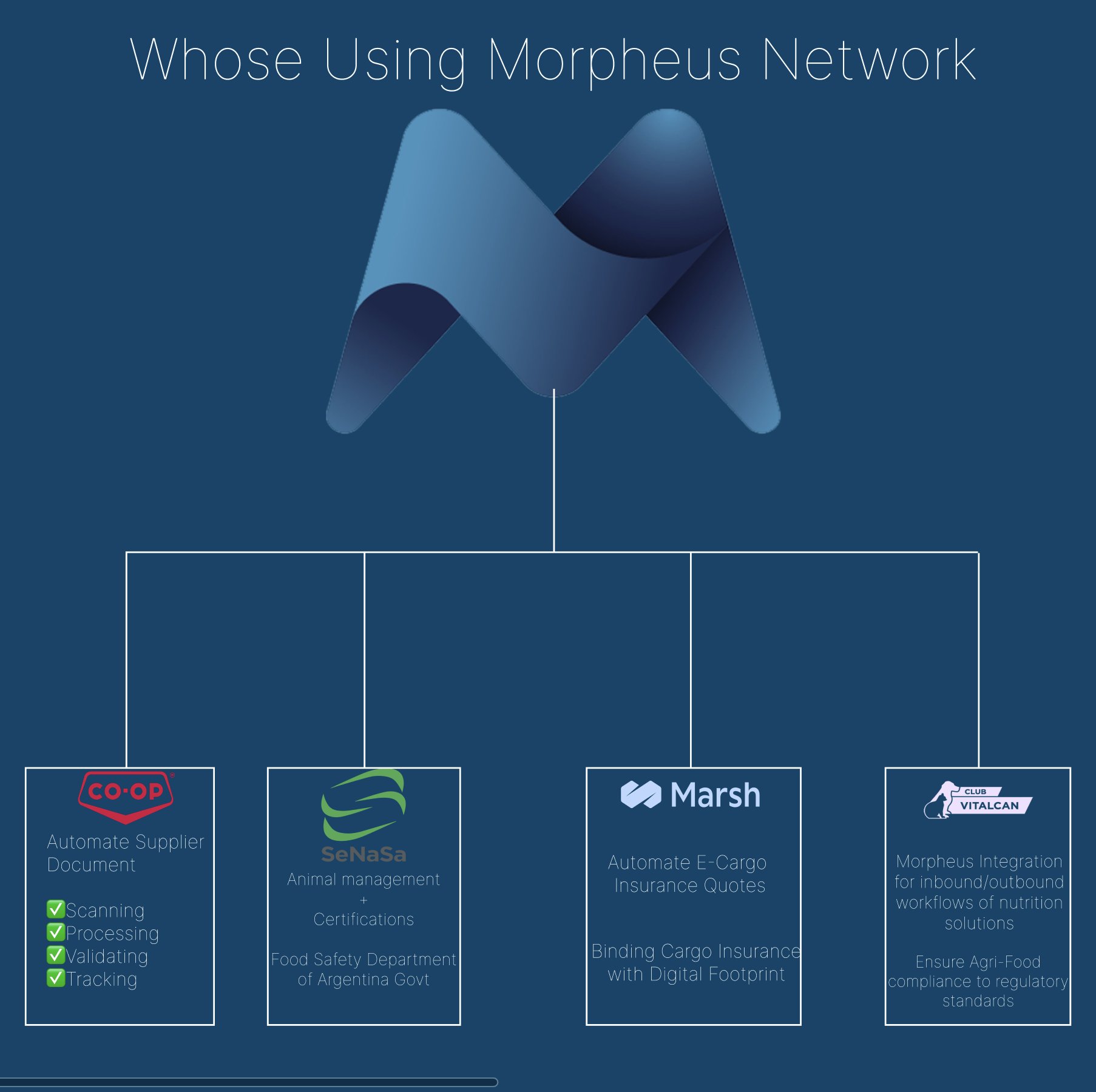 Tokenicer ⥃⬢ on Twitter: " But it still lies the question...whose actually using the $MNW ...
