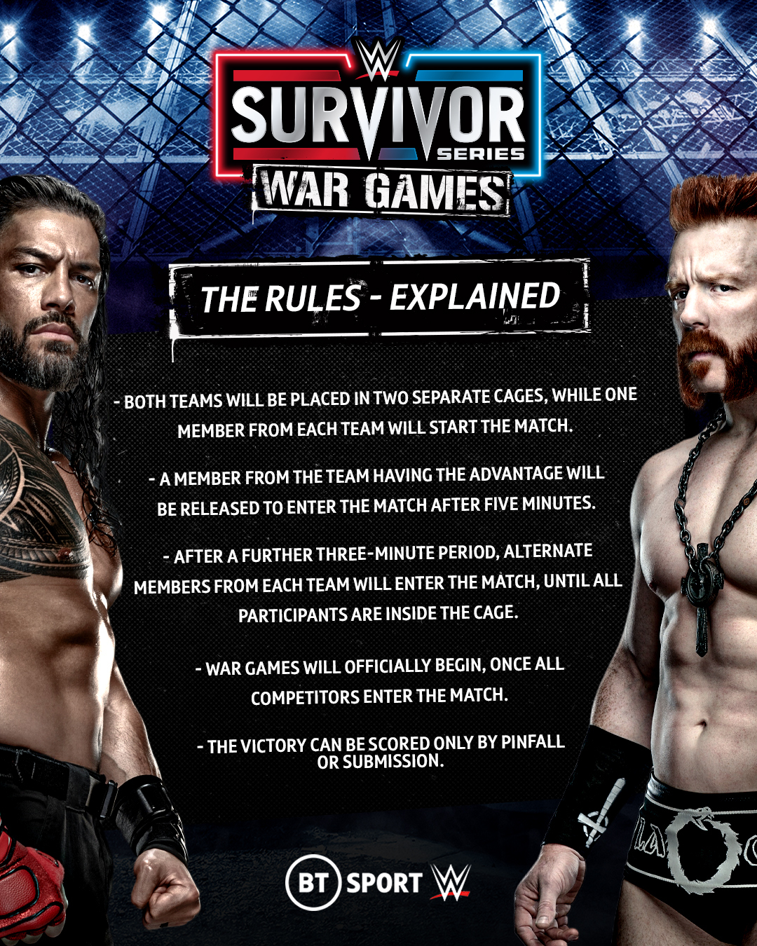 Wwe Survivor Series 2022 Poster
