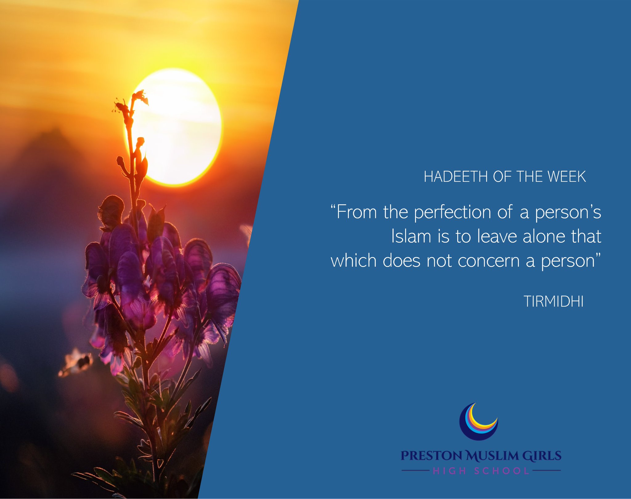 PMGHS on Twitter: "https://t.co/OYpLGrKK6p" / Twitter