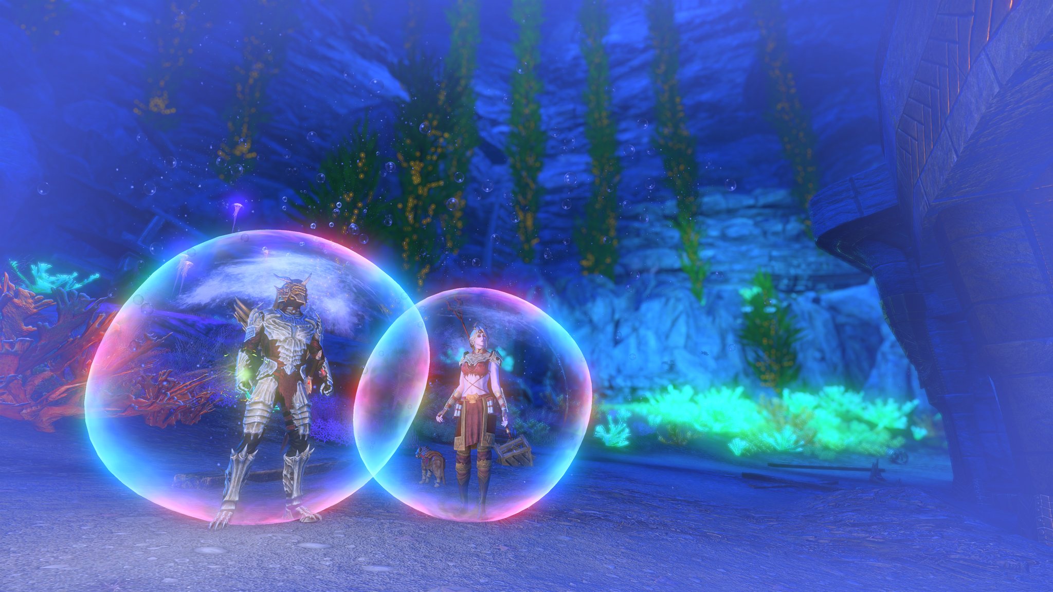 Akasha Queen Of The Damned on Twitter: "Noche extra de mazmorreo con @Nobax_117 , un "paseo" por ...