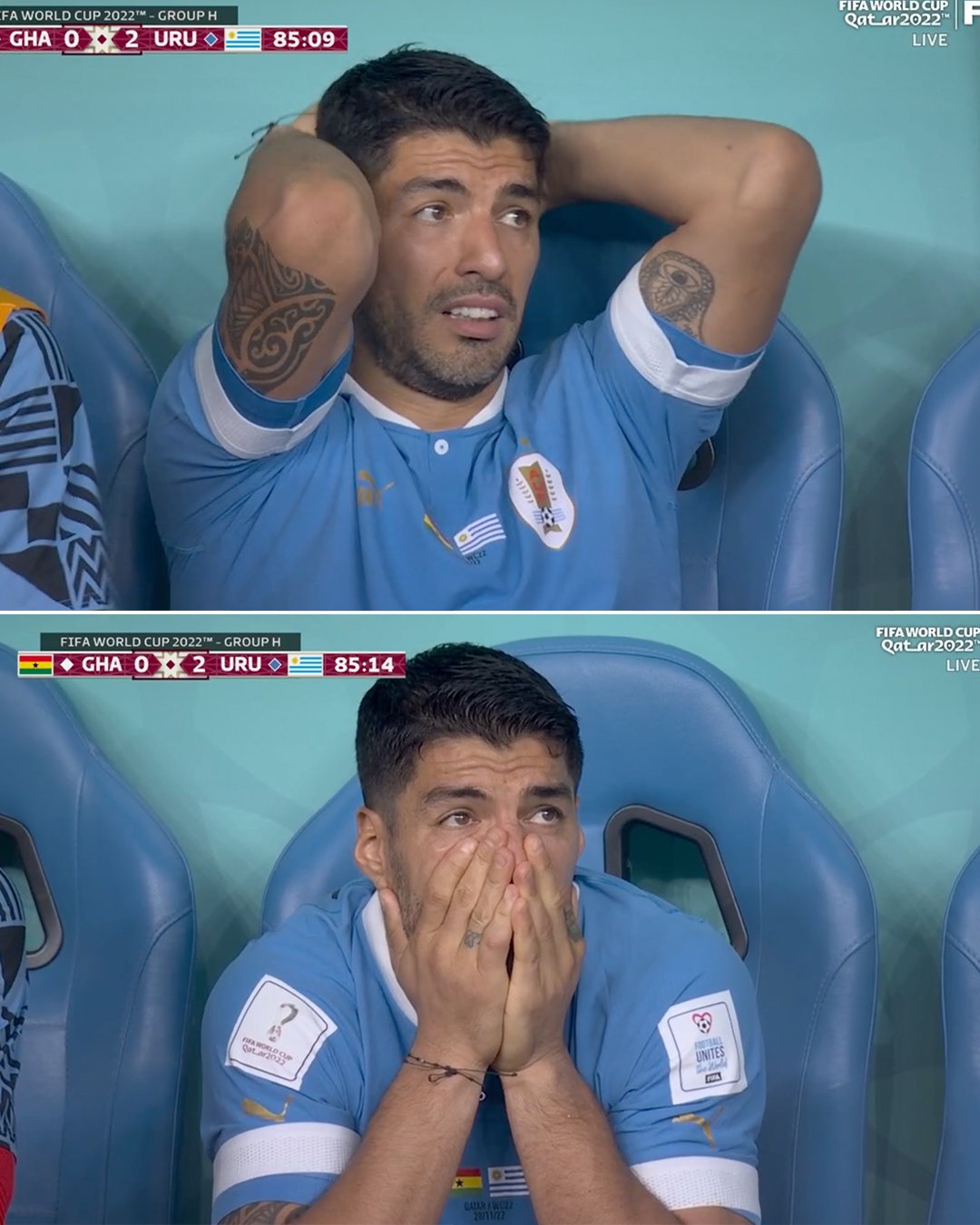 Luis Suarez Memes World Cup