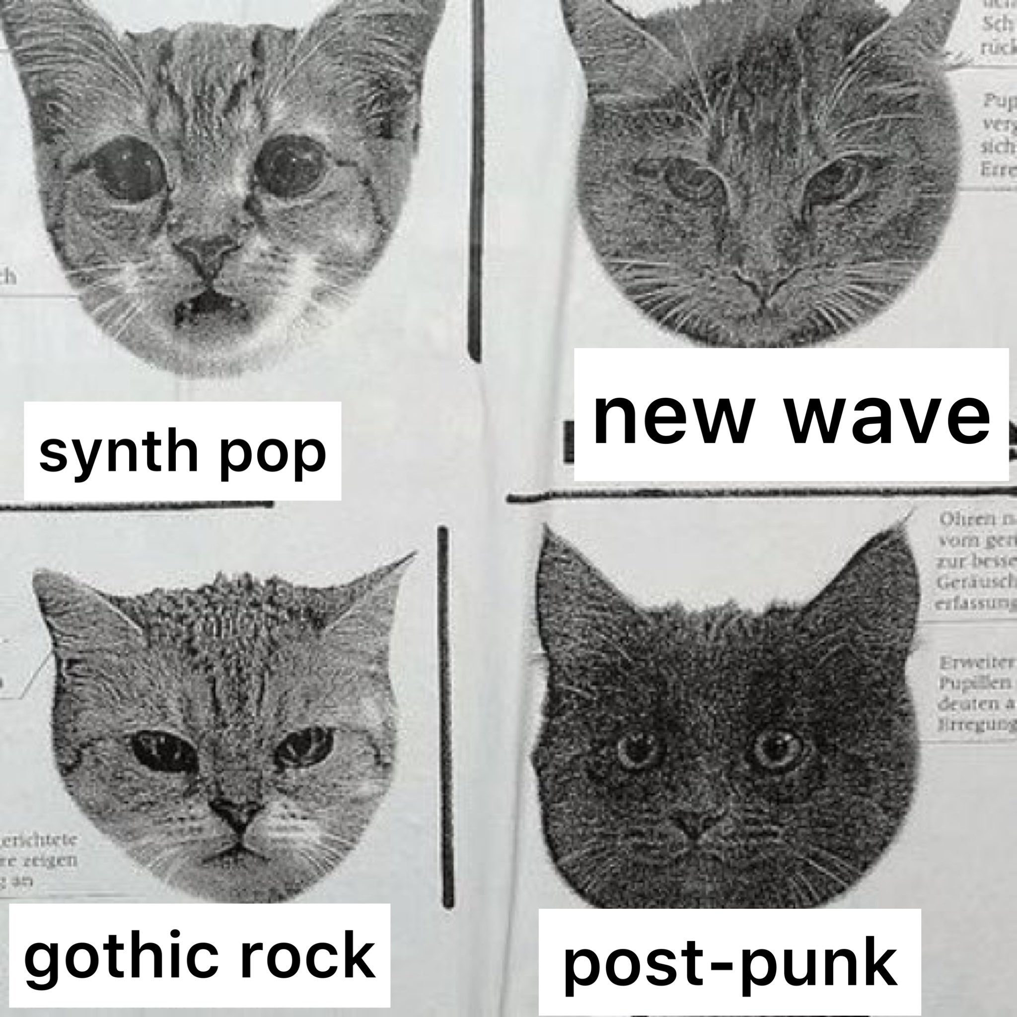 Goth Cat Memes