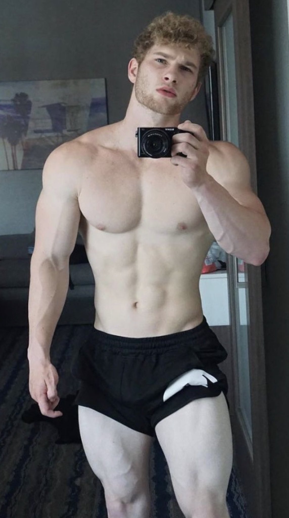 SILVERBACK on Twitter: "#Silverback https://t.co/QnciOx4vrm" / Twitter