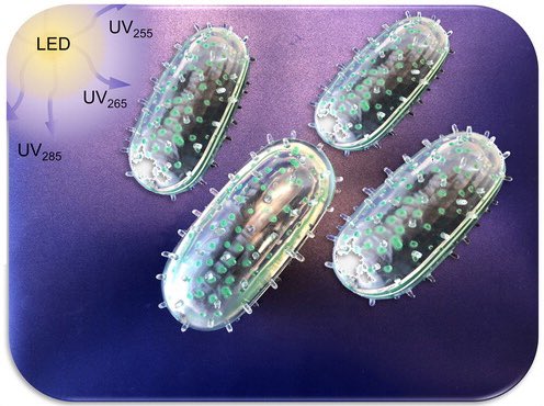 Looks cool, right? Well, this is something I’ve been researching lately ...