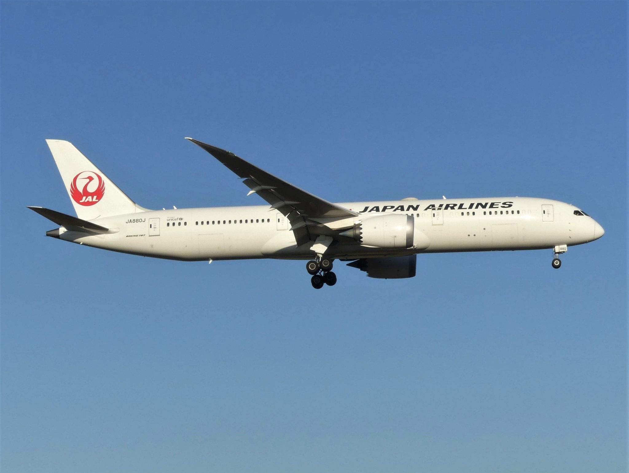 ten_koji on Twitter: "2022/11/25 成田国際空港外周にて 16L下り JLのドリームライナー JAL B787-9 Japan Airlines #JAL # ...