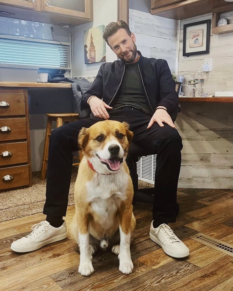 Chris Evans fan page UK 🇬🇧 on Twitter: "We need a new dodger and Chris Evans selfie Mr Evans"