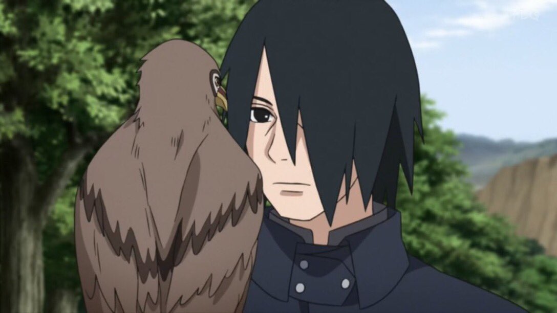 Sasuke Hawk Summon