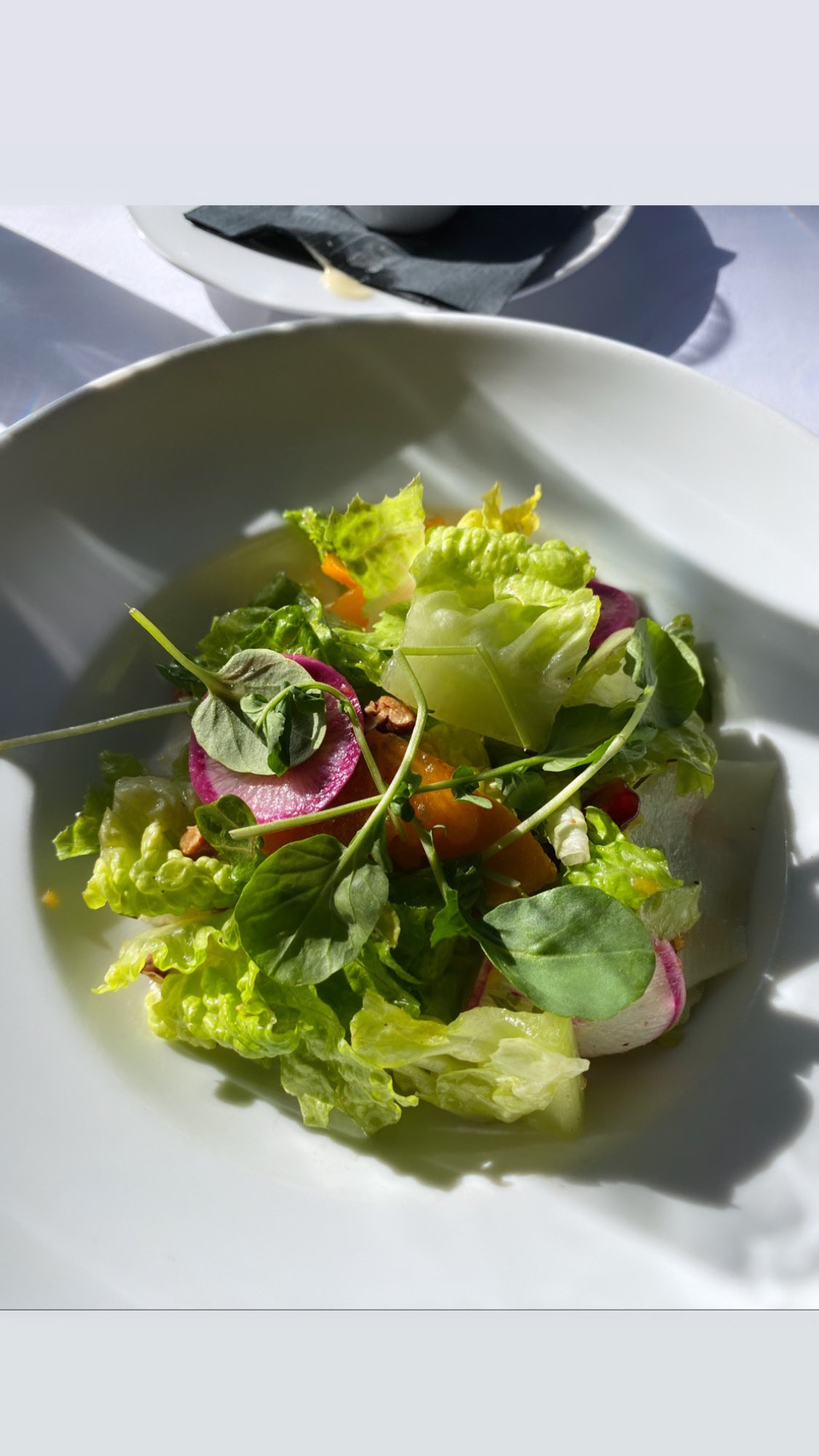 TW Pornstars - 2 pic. Jenna Haze. Twitter. Yesterday was delicious! Enjoyed a lovely meal at ...