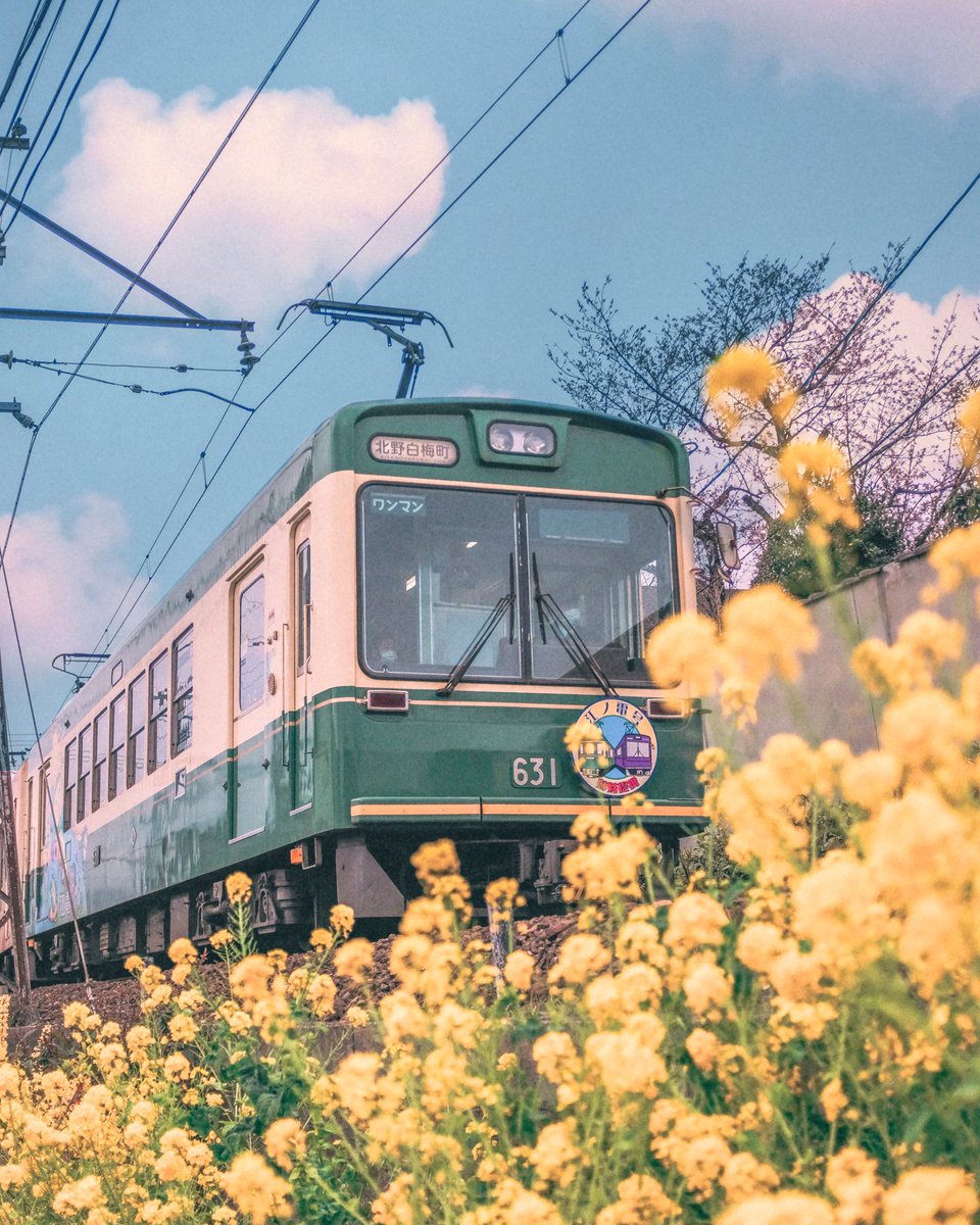 hello dongwon on Twitter: "4월에 교토 꼭 가야한다.."