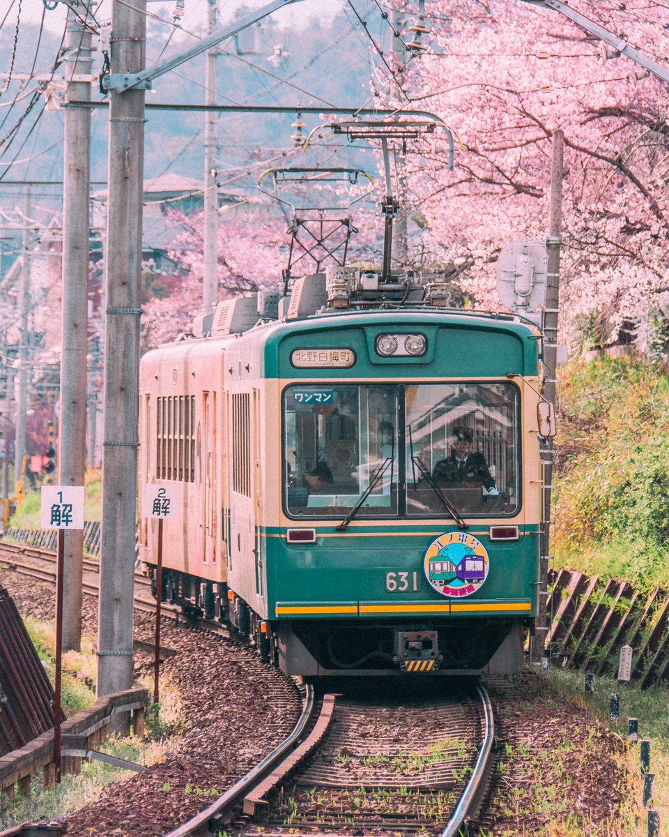 hello dongwon on Twitter: "4월에 교토 꼭 가야한다.."