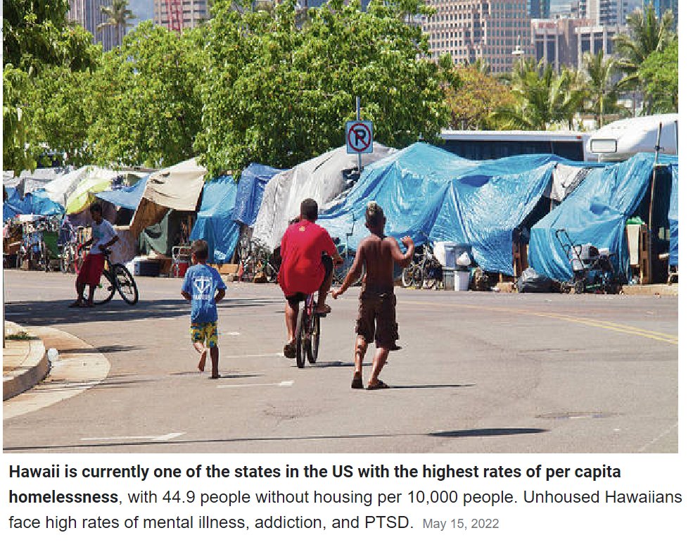 The 'not-so-nice-side' of the coconut trees I'm from, and worked in, in ...