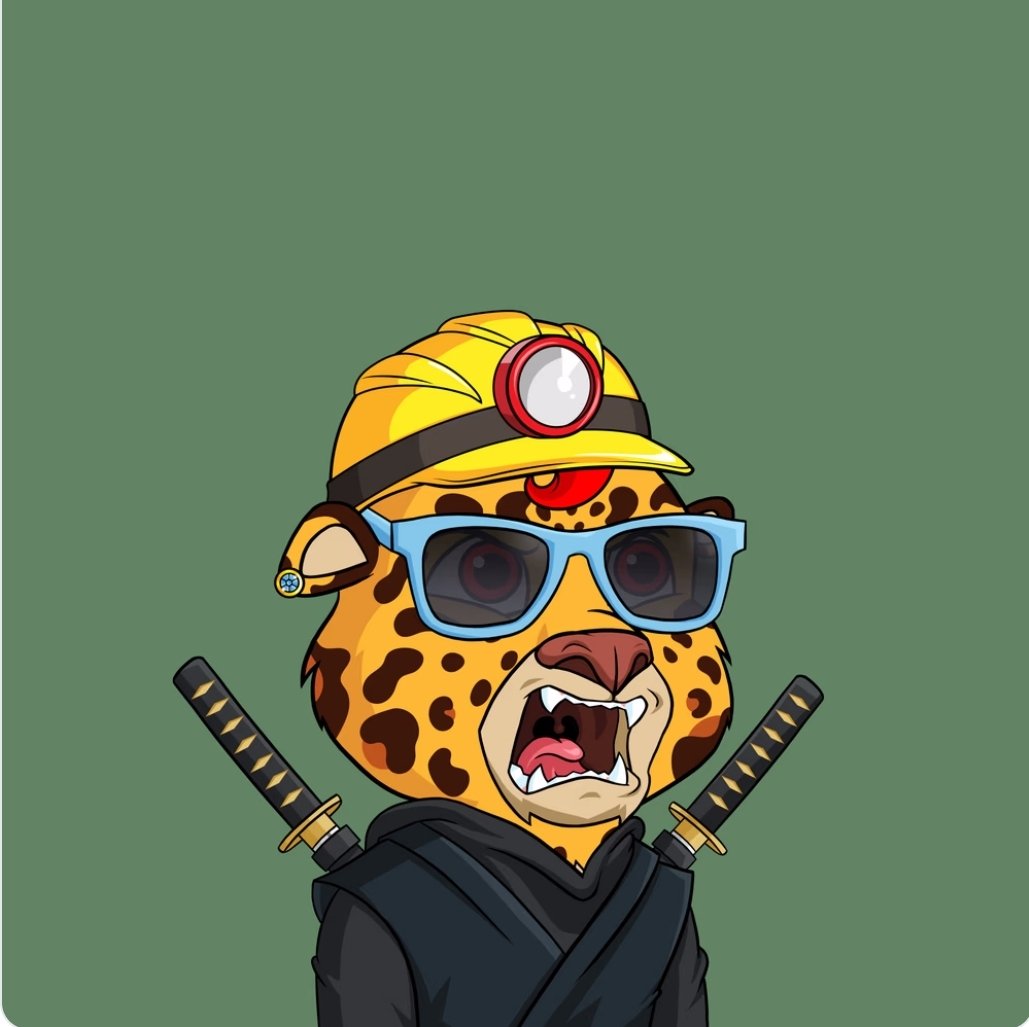 LazyWarriorsOfficial (@lazy_warriors) / Twitter