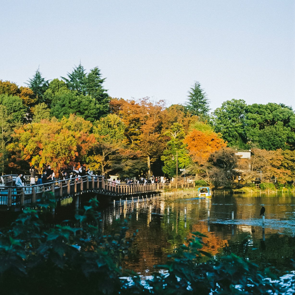 Hiro. on Twitter: "日常 / film🚶‍♂️ https://t.co/DZ5oc6C6X1" / Twitter