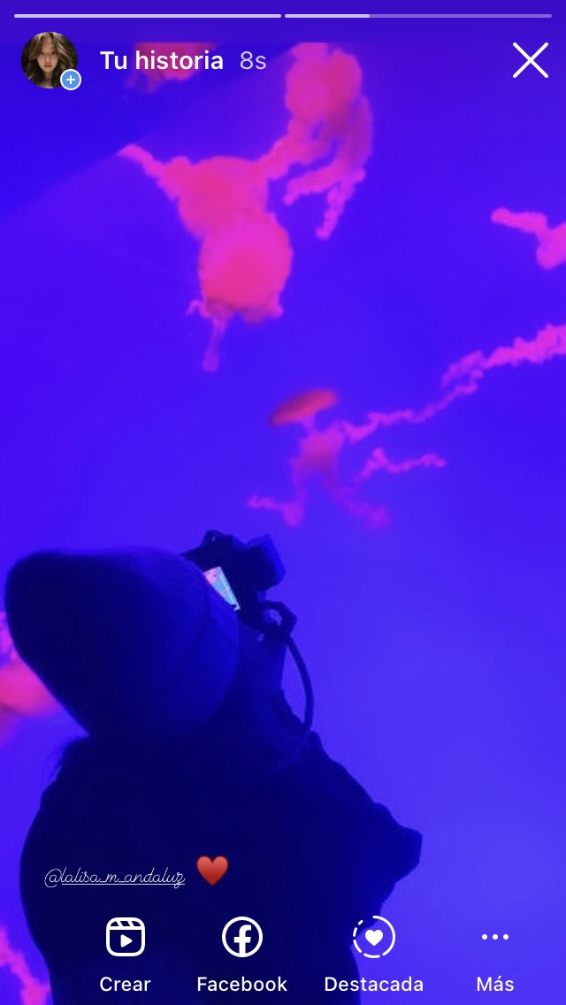 Mari 🇲🇽 on Twitter: "560: https://t.co/hYW3Aut9T5" / Twitter